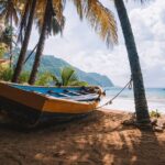 Private Tour Island of Tobago - Practical Aspects and Value