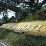 Private Tour Kuala Selangor Fireflies include Seafood Dinner *26* - Final Thoughts: Is the Kuala Selangor Fireflies Tour for You?