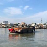Private Tour Mekong Delta Shore Excursion from Cruise Port - Practical Tips and Insights for Travelers