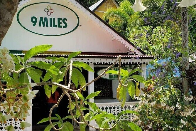 Private Tour of Bob Marley Nine Miles from Montego Bay - Practical Tips for Your Trip