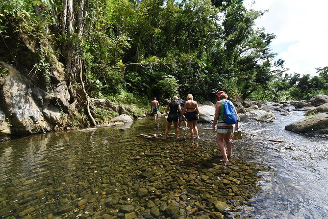 Private Tour of El Yunque Rainforest from San Juan - Whats Included and Whats Not