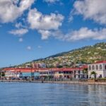 Private Tour of Fort Charlotte to Botanical Gardens and Kingstown - Analyzing the Value