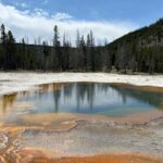 Private Tour of Yellowstones Natural Wonders from Jackson Hole - Analyzing the Value and Who It’s Best For