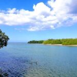 Private Tour Paradise Island & Manatee Sanctuary & Local Fish Bar - Who Should Consider This Tour?