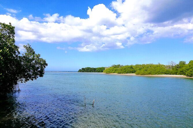 Private Tour Paradise Island & Manatee Sanctuary & Local Fish Bar - Who Should Consider This Tour?