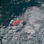 Private Tour Pedernales and Bahía de las Águilas with everything included - Transportation, Timing, and Value