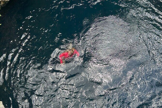 Private Tour Pedernales and Bahía de las Águilas with everything included - Transportation, Timing, and Value