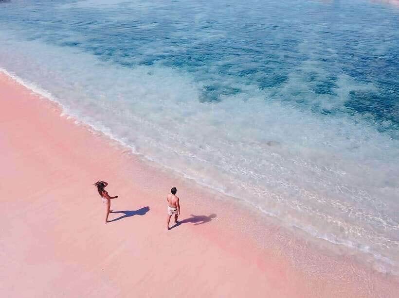 "Private Tour: Pink Beach Lombok Gili Islands & Sand Island" - Who Should Consider This Tour?