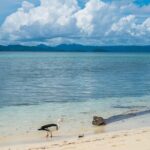 Private Tour Pirates of the Caribbean Port Royal & Beach - Authentic Experiences and Traveler Tips