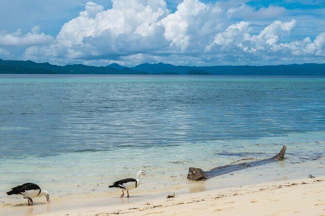 Private Tour Pirates of the Caribbean Port Royal & Beach - Authentic Experiences and Traveler Tips