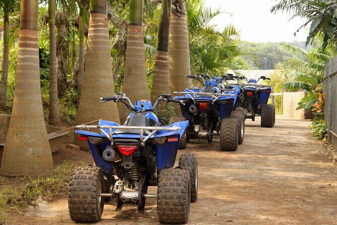 Private Tour Quads ATV Saint-Martin - Free Time and Additional Exploration