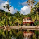 Private Tour Rainforest from Tobago - What’s Included and Whats Not