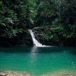Private Tour Rio Seco Waterfall from Port of Spain - The Experience from Reviews