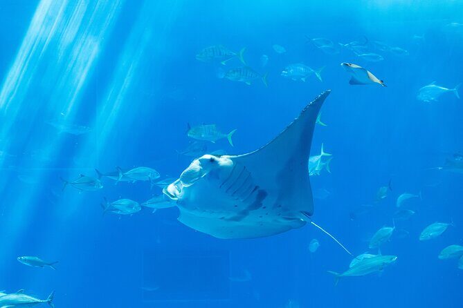 Private Tour Stingray City and One Snorkeling Stop - The Itinerary in Detail