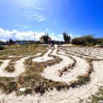 Private Tour: Swim with Turtles, Cave Pool & Floating Breakfast - An In-Depth Look at the Experience