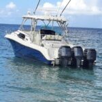Private Tour to Cayo Icacos and Palomino Island - Who should consider this tour?