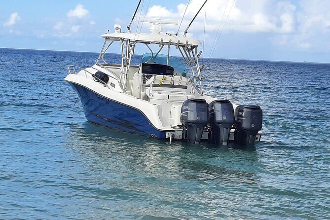 Private Tour to Cayo Icacos and Palomino Island - Who should consider this tour?