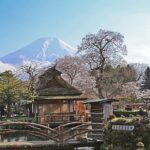 Private tour to Mount Fuji and Hakone from Tokyo - FAQs