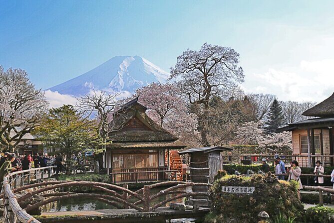 Private tour to Mount Fuji and Hakone from Tokyo - FAQs