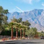 Private tour to Palm Springs from Los Angeles - The Experience: A Thorough Breakdown of the Itinerary