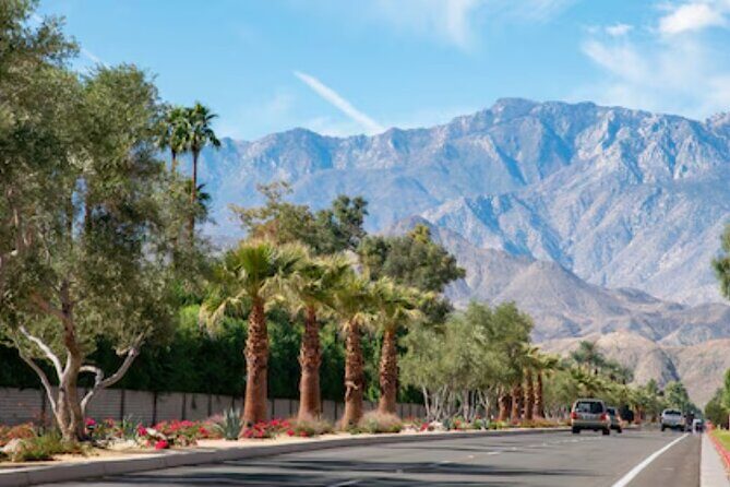 Private tour to Palm Springs from Los Angeles - The Experience: A Thorough Breakdown of the Itinerary