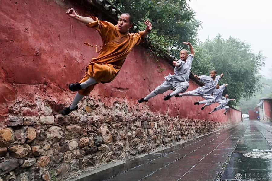 Private tour to Shaolin Temple and Longmen Grottoes - What Sets This Tour Apart