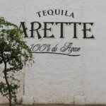 Private Tour to Tequila with Tequila Arette Tasting - Deep Dive into the Experience