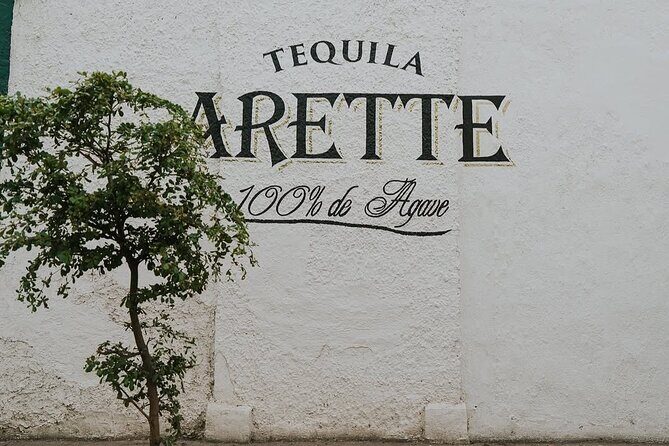 Private Tour to Tequila with Tequila Arette Tasting - Deep Dive into the Experience