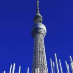 Private tour Tokyo - The Harmony of Modernity and Tradition - The Sum Up