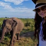 Private Tour: Udawalawe National Park Safari - Detailed Itinerary Breakdown