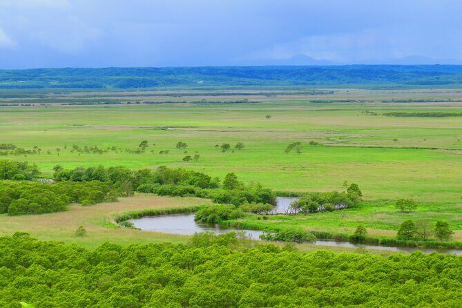 Private Tour with Kushiro Marsh, Tancho, and Local Market - Authenticity, Value, and Who It’s Best For