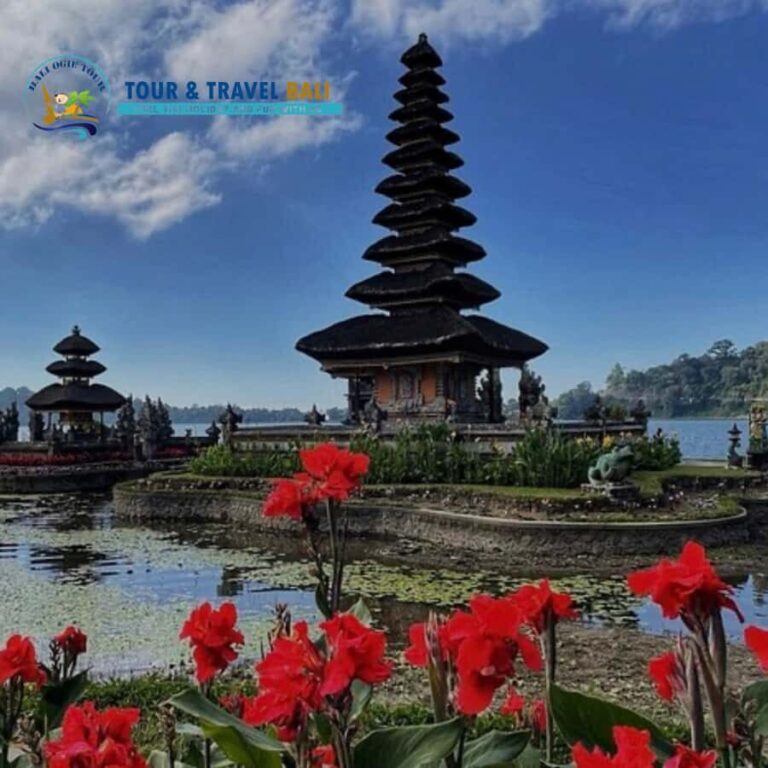 Private Tour with Lake Bratan and Tanah Lot Sunset - What Sets This Tour Apart?