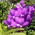 Private Tours - What the Reviews Say