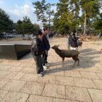 Private Tours by Luxurious Vans in Kyoto, Osaka, Nara. - Final Thoughts