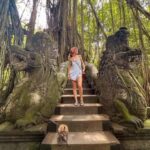 Private Tours: Tegallalang With Monkey Forest And Water Fall - Who Will Love This Tour?