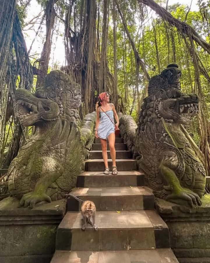 Private Tours: Tegallalang With Monkey Forest And Water Fall - Who Will Love This Tour?