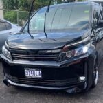 Private Transfer anywhere in Jamaica for up to 5 people - The Experience: Comfort, Flexibility, and Local Touches