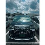 Private Transfer between Narita Airport and Tokyo - What to Expect from This Private Transfer