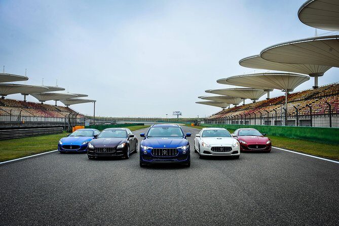 Private Transfer between Shanghai International Circuit and City Hotel - The Vehicle and Comfort