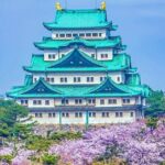 Private Transfer Chubu Centrair Airport NGO to Nagoya City - What This Transfer Service Offers and How It Works