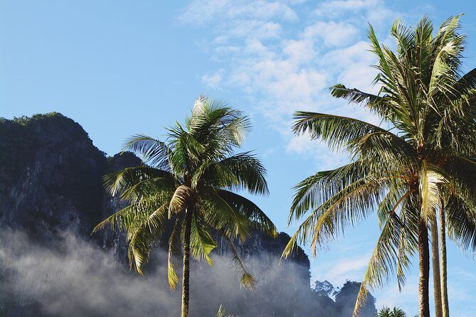 Private Transfer from Bangkok to Rayong with 2h of Sightseeing - A Closer Look at the Journey