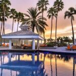 Private Transfer From Montego Bay Airport to Ocho Rios Hotel/Port - Why Choose This Transfer?