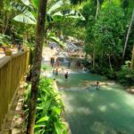 Private Transfer from Montego Bay to Dunns River Falls - The Itinerary: What to Expect on Your Journey to Dunns River Falls