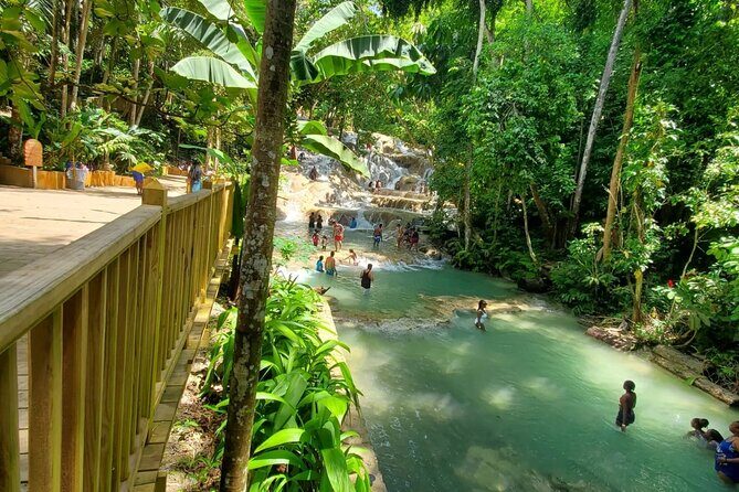 Private Transfer from Montego Bay to Dunns River Falls - The Itinerary: What to Expect on Your Journey to Dunns River Falls