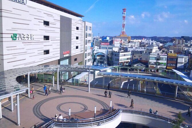 Private Transfer from Narita Airport to Prince Hachi City Japan - FAQ