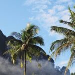 Private Transfer from Phuket to Krabi with 2h of Sightseeing - The Itinerary Breakdown: What to Expect