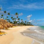 Private Transfer from Punta Cana Airport or Iberostar Punta Cana - The Experience of the Ride