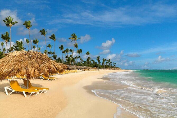 Private Transfer from Punta Cana Airport or Iberostar Punta Cana - The Experience of the Ride