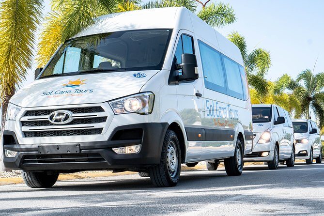 Private Transfer from Punta Cana Airport to Dreams Macao Beach Hotel - The Experience: What to Expect from Start to Finish