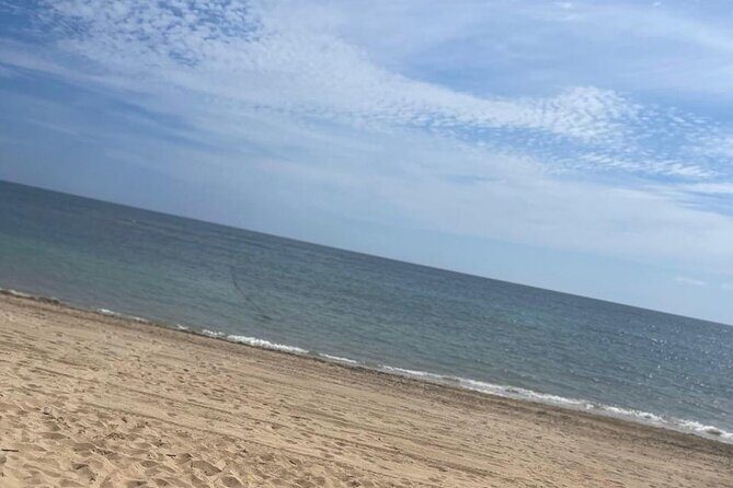 Private transfer from Punta cana hotels Bayahibe la Romana - Who Should Consider This Transfer?